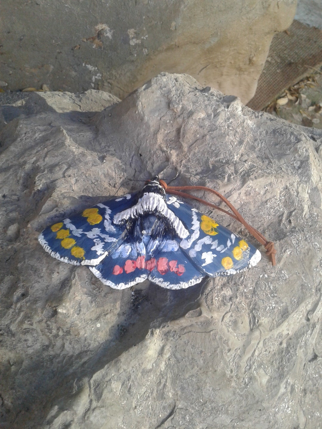 Moth Wall Hanging: Moth Wall Decor Ornament, Insect Art, Unusual Gift ...