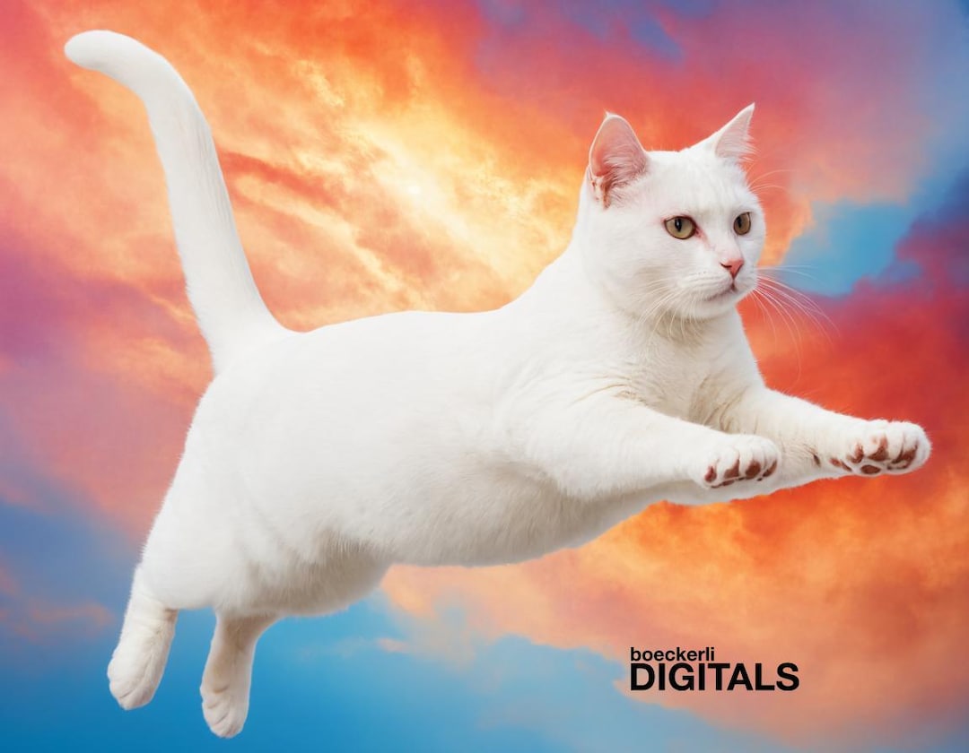 Skyward Kitty Whimsical Digital Art - Etsy