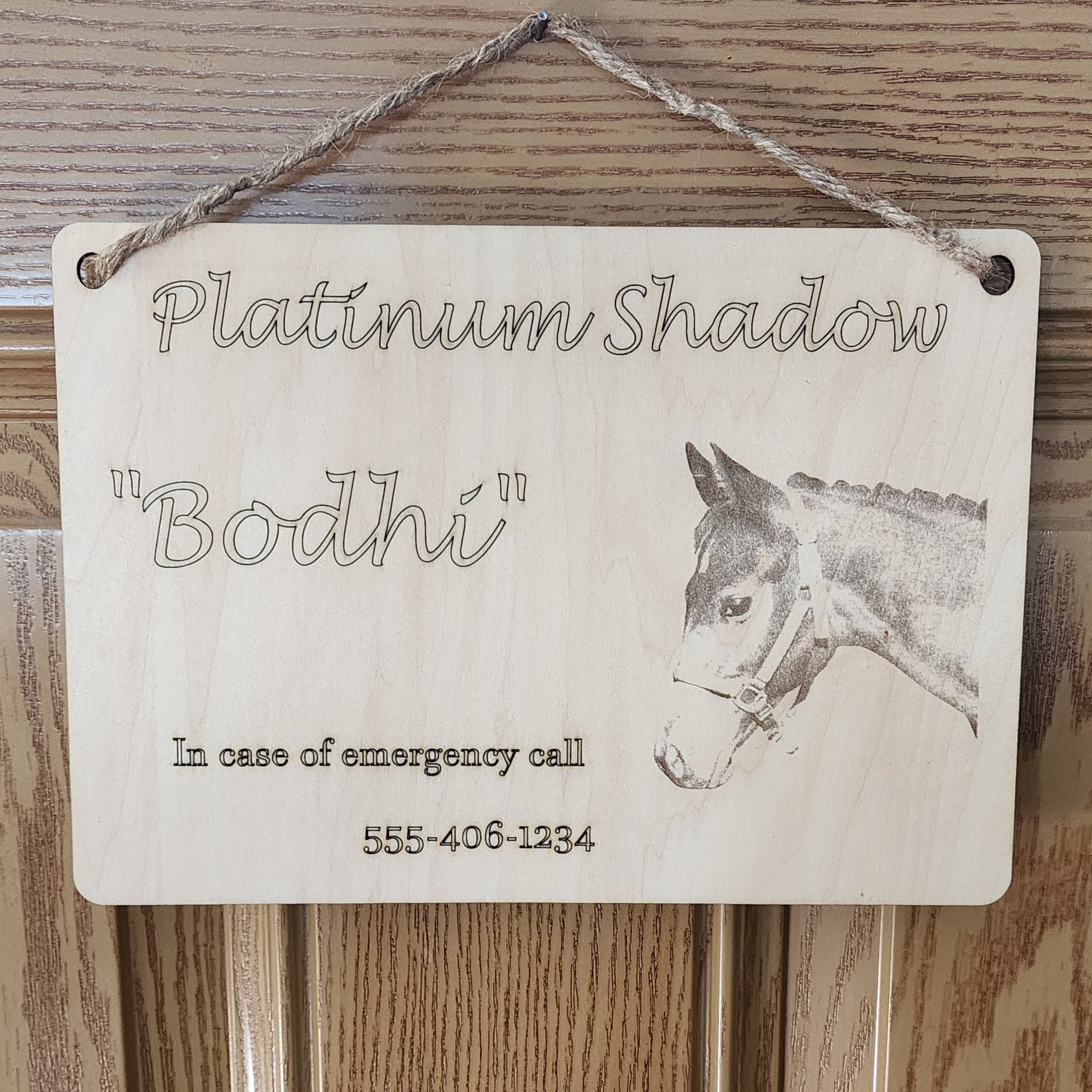 Personalized Horse Stall Sign Horse Name Emergency Contact Horse Show ...