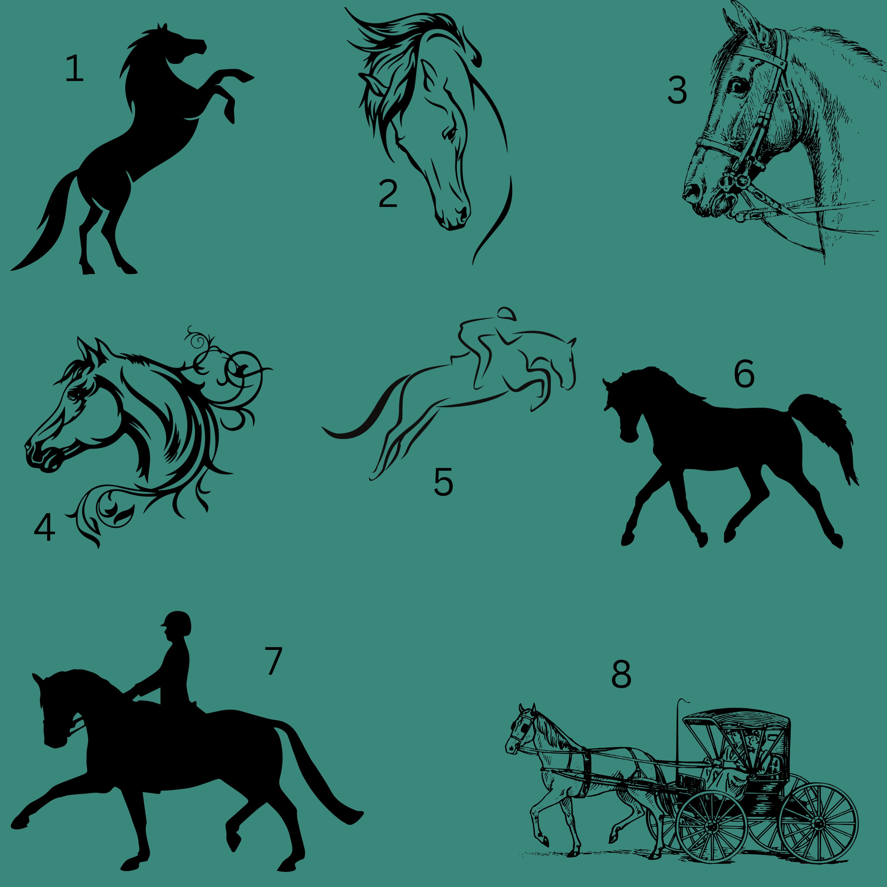 Personalized Horse Stall Sign Horse Name Emergency Contact Horse Show ...