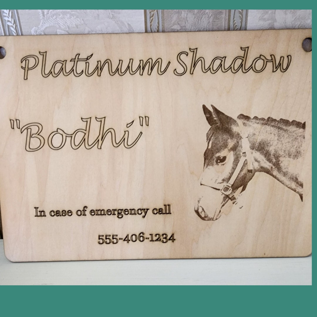 Personalized Horse Stall Sign Horse Name Emergency Contact - Etsy