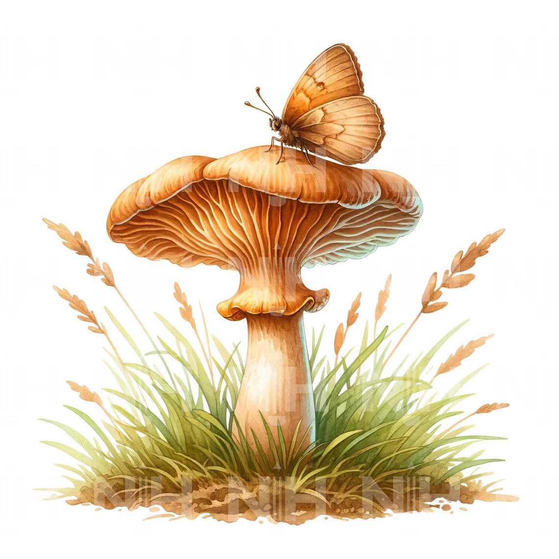 Mushrooms Clipart 5pcs PNG Cute Watercolor Toadstool Forest Nature Clip ...