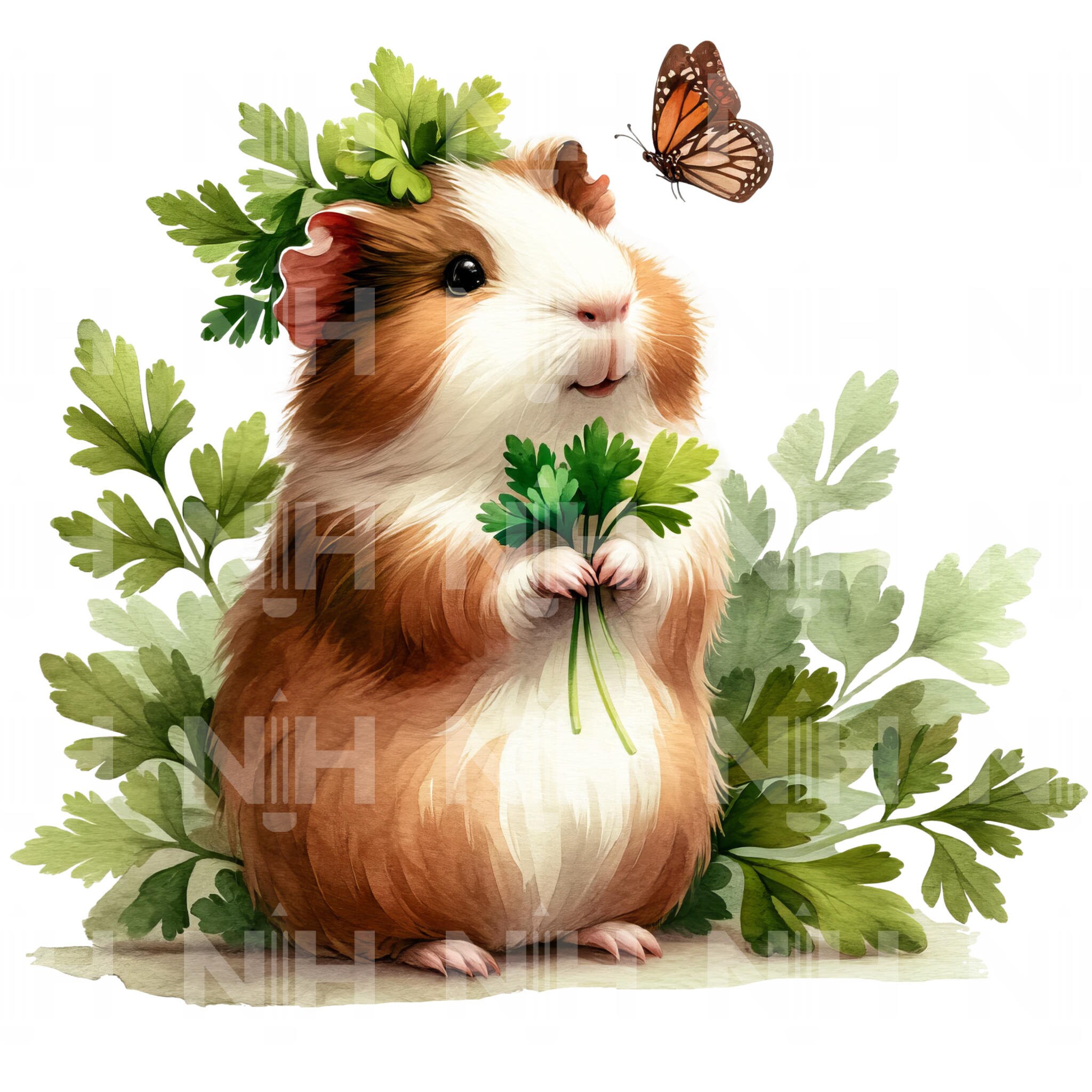 Guinea Pig Cliparts 5pc PNG Cute Watercolor Animals Clipart Transparent ...