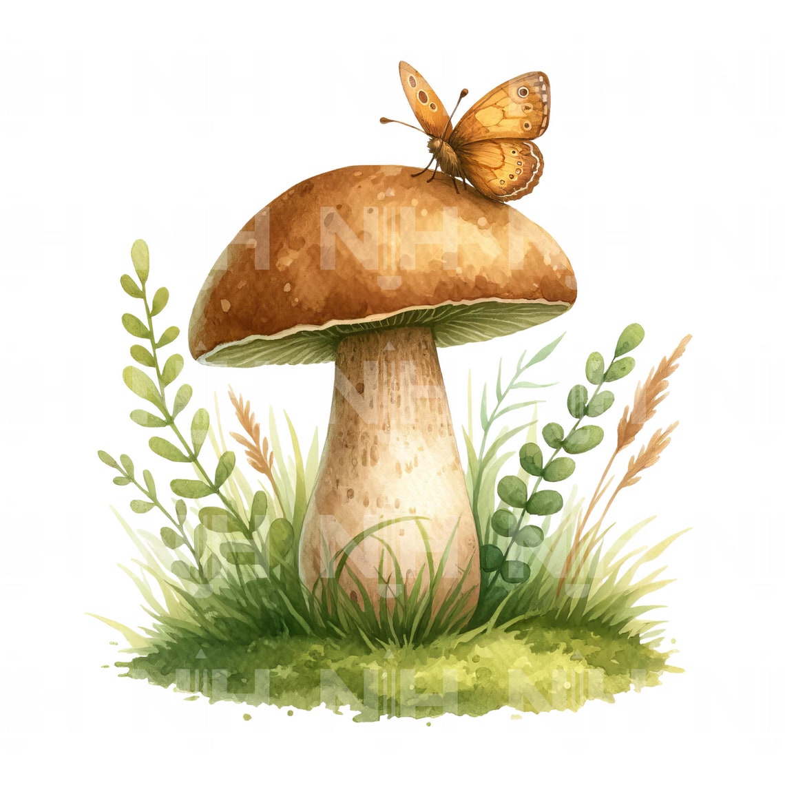 Mushrooms Clipart 5pcs PNG Cute Watercolor Toadstool Forest Nature Clip ...