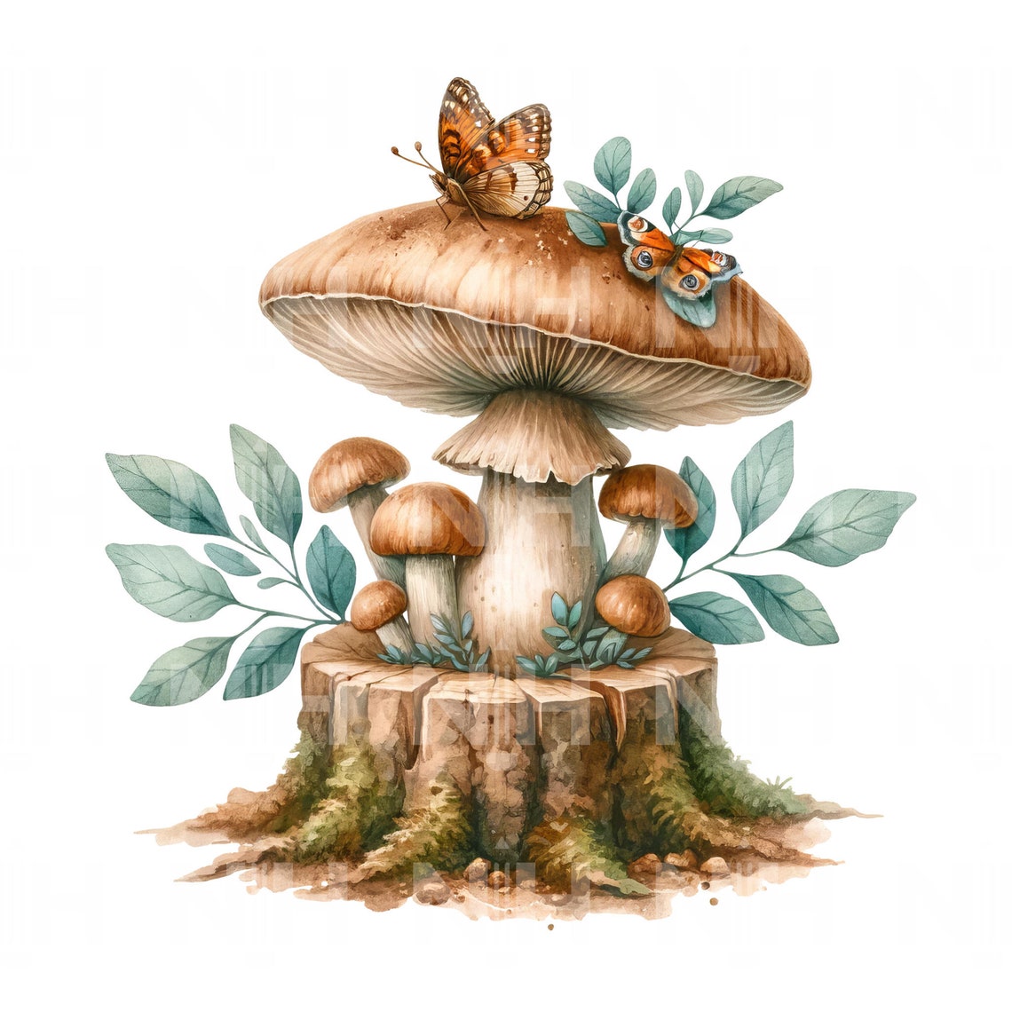 Mushrooms Clipart 5pcs PNG Cute Watercolor Toadstool Forest Nature Clip ...