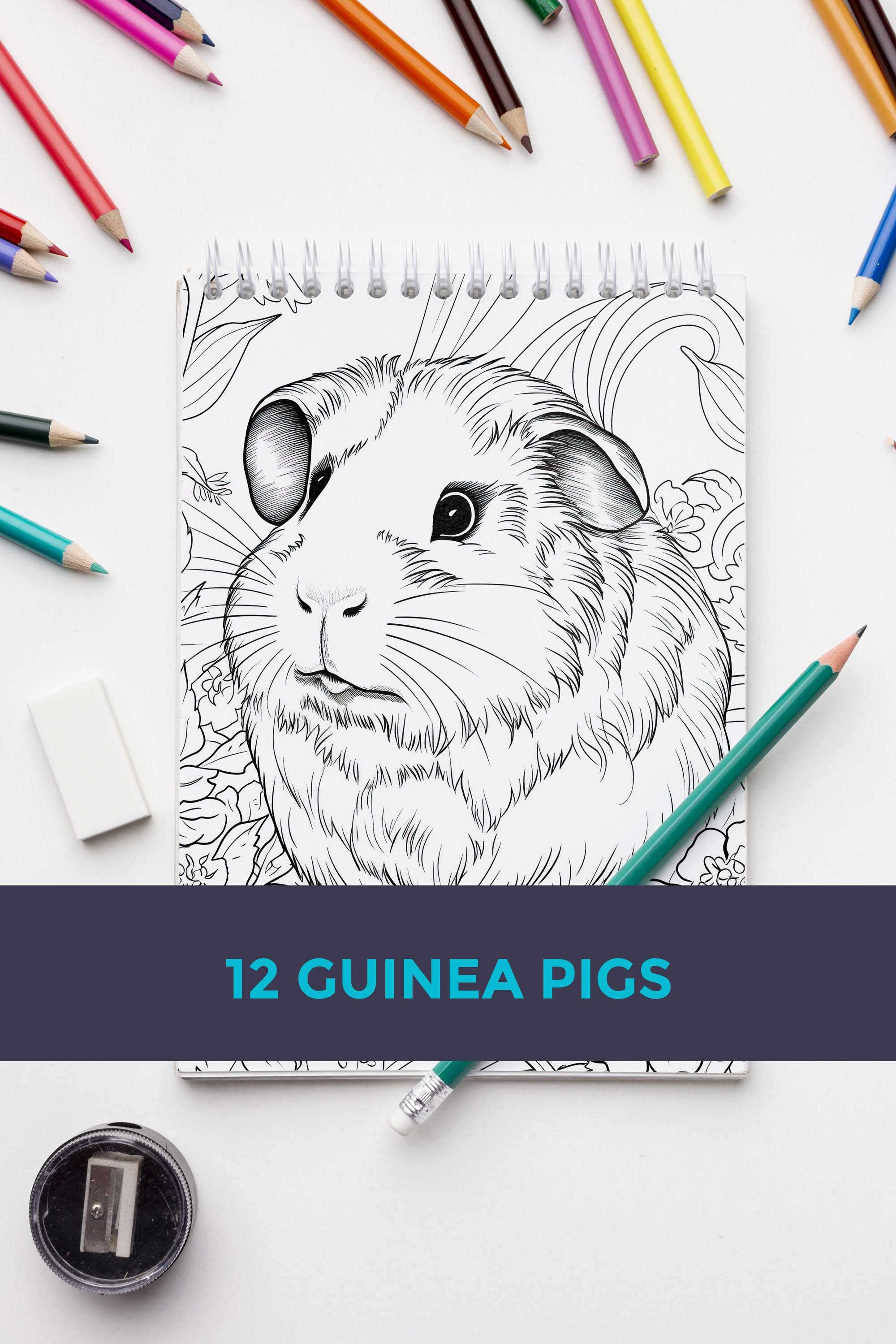 12 Old Guinea Pigs, Coloring Pages for Adults and Kids, Guinea Pig ...
