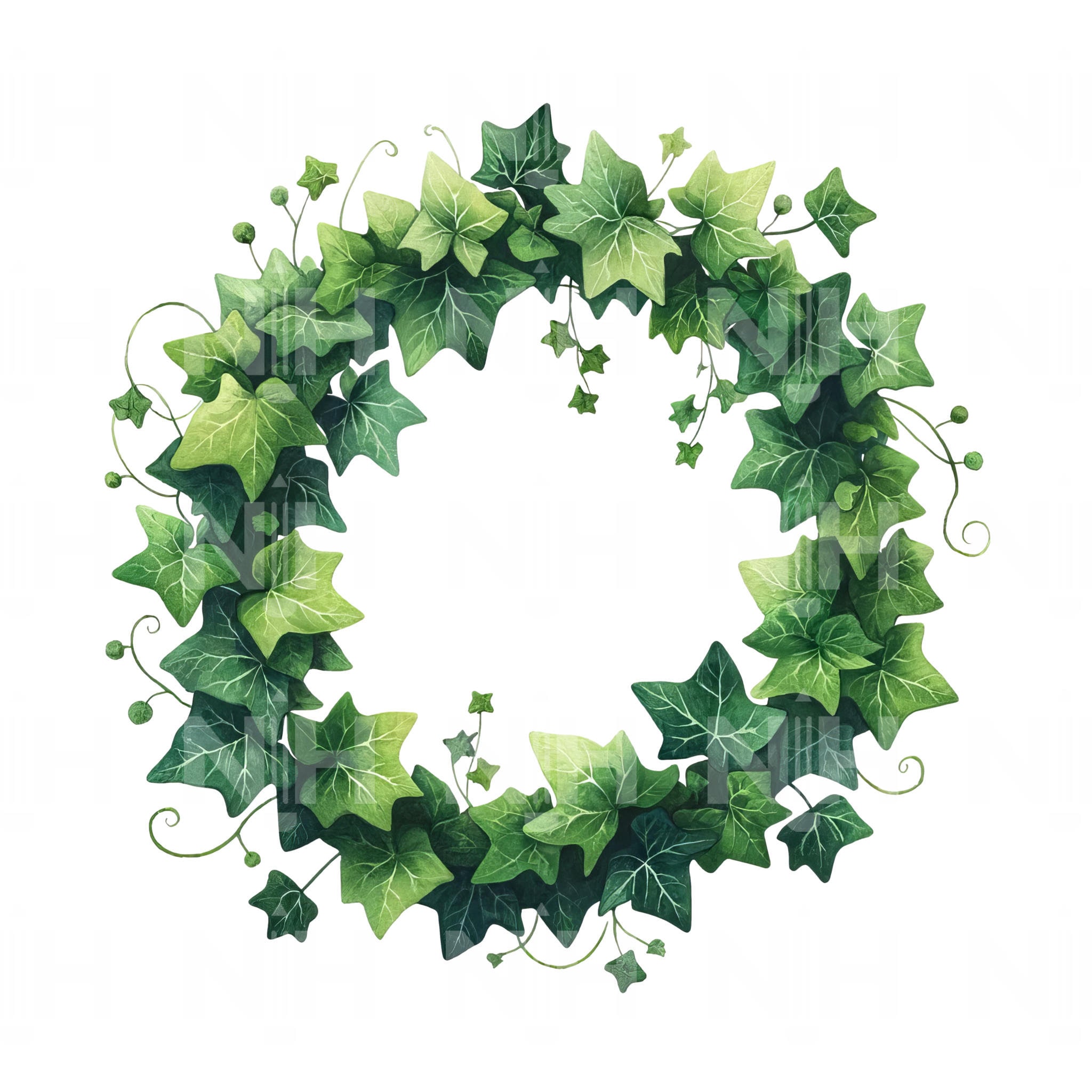 Watercolor Ivy Clipart 5pcs PNG Digital Download Card Making, Digital ...