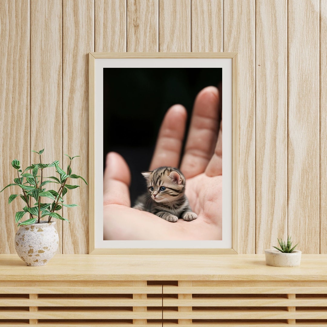 Cat on the Hand Clip Art: Unique Cat Designs to Purr-fact Your Home ...