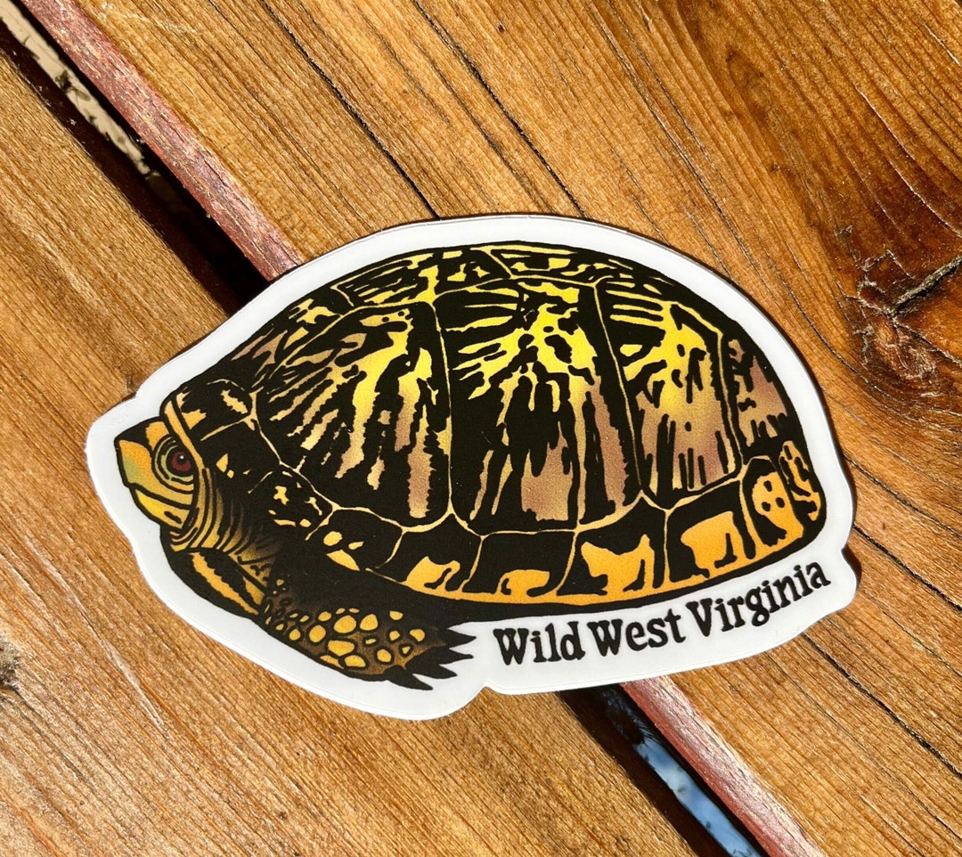 West Virginia Box Turtle Vinyl Sticker Weatherproof - Etsy