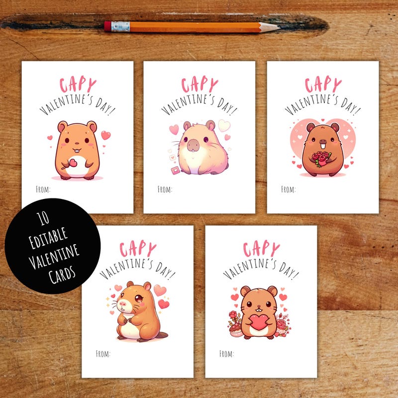 Capybara School Supplies - Etsy