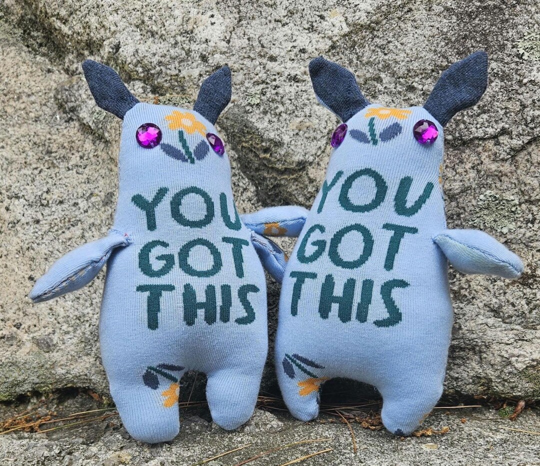 You Got This Sock Demons, Emotional Support Creatures - Etsy