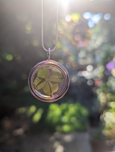 Real Four-leaf Clover Locket Pendant - Etsy