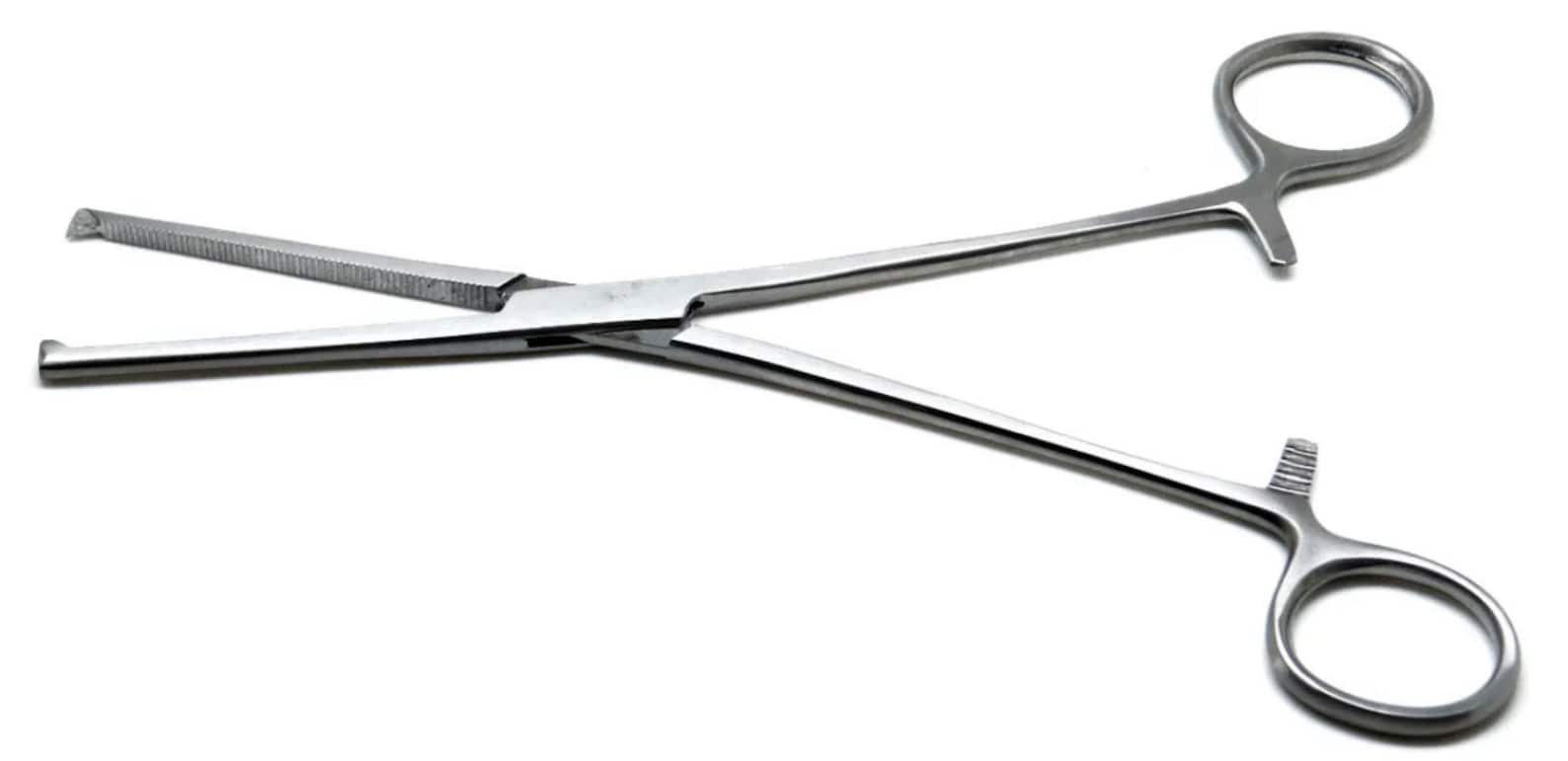 Hemostat Rochester Straight 12 Kocher Forcep 8 Premium Surgical ...