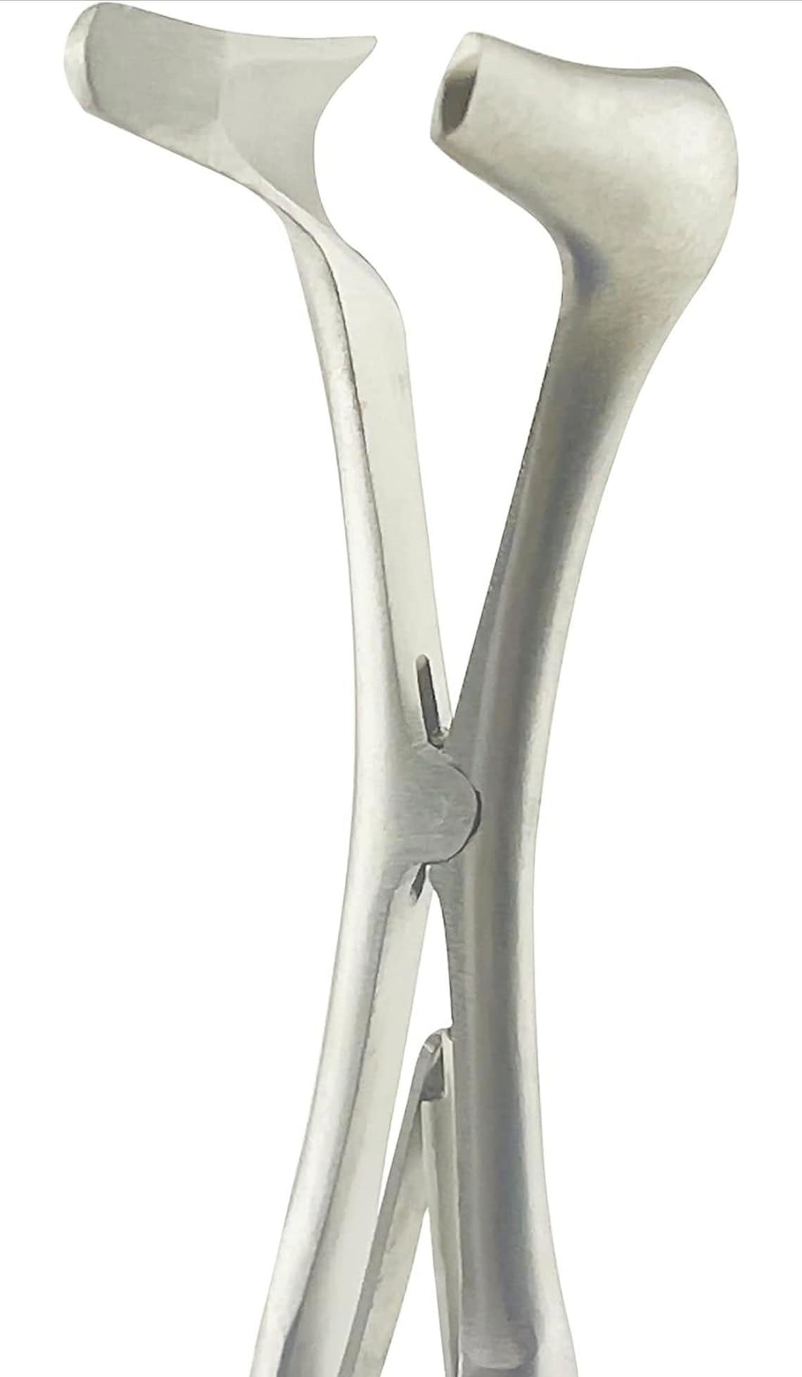 Vienna Nasal Speculum ENT Instruments Large - Etsy