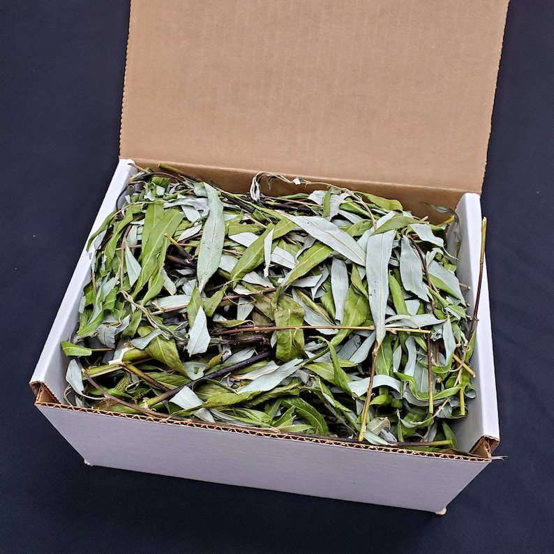 Dried Willow Leaves and Sticks for Bunny Rabbit, Guinea Pig, Chinchilla ...