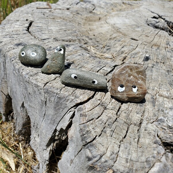Pet Rock - Etsy