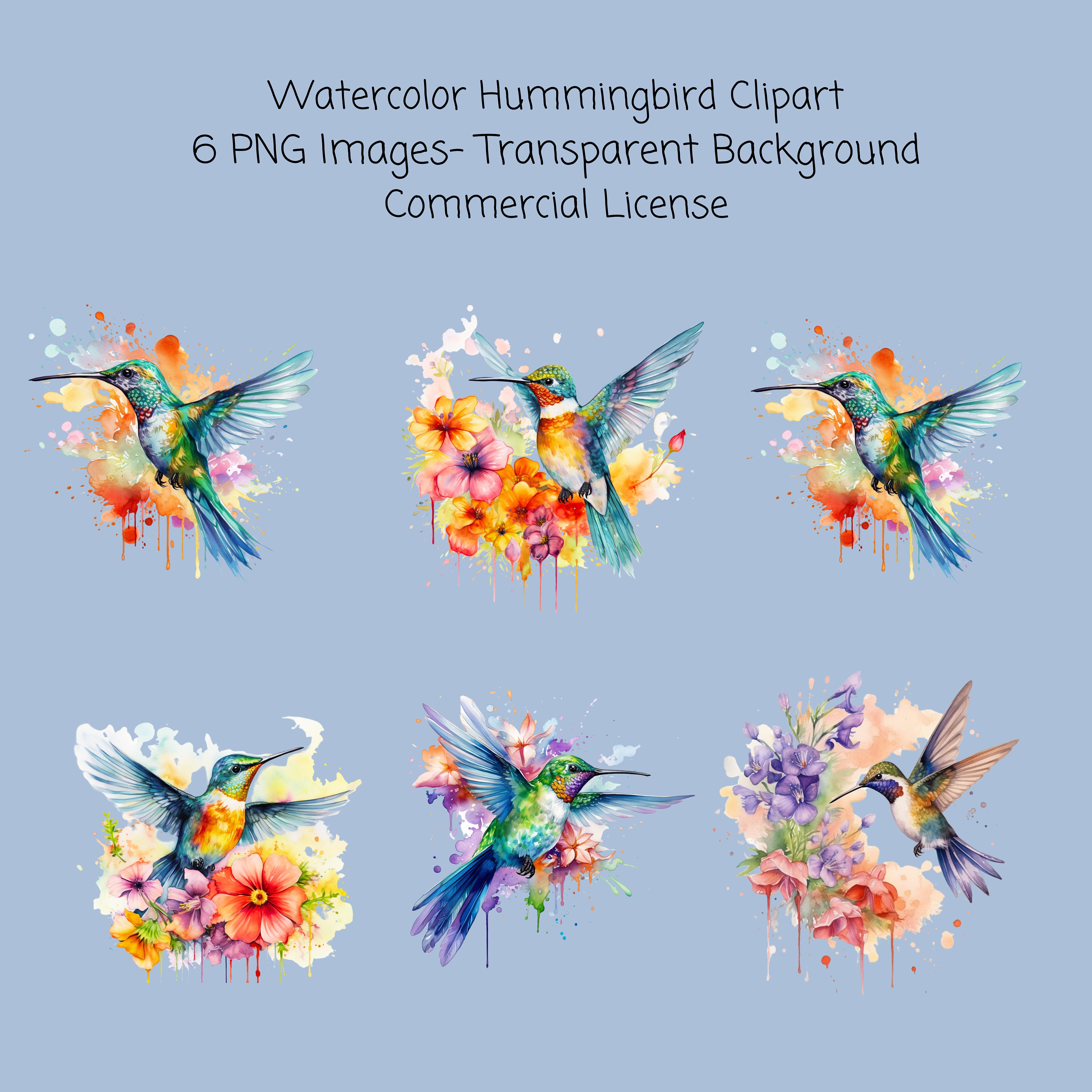 Colorful Watercolor Hummingbird Clip Art 6 Digital Files With - Etsy