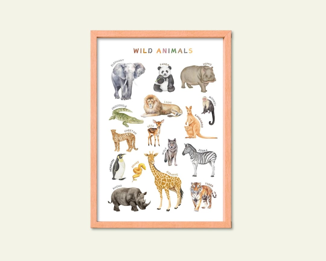 Wild Animals Poster, Educational Poster, Montessori Poster, Classroom ...