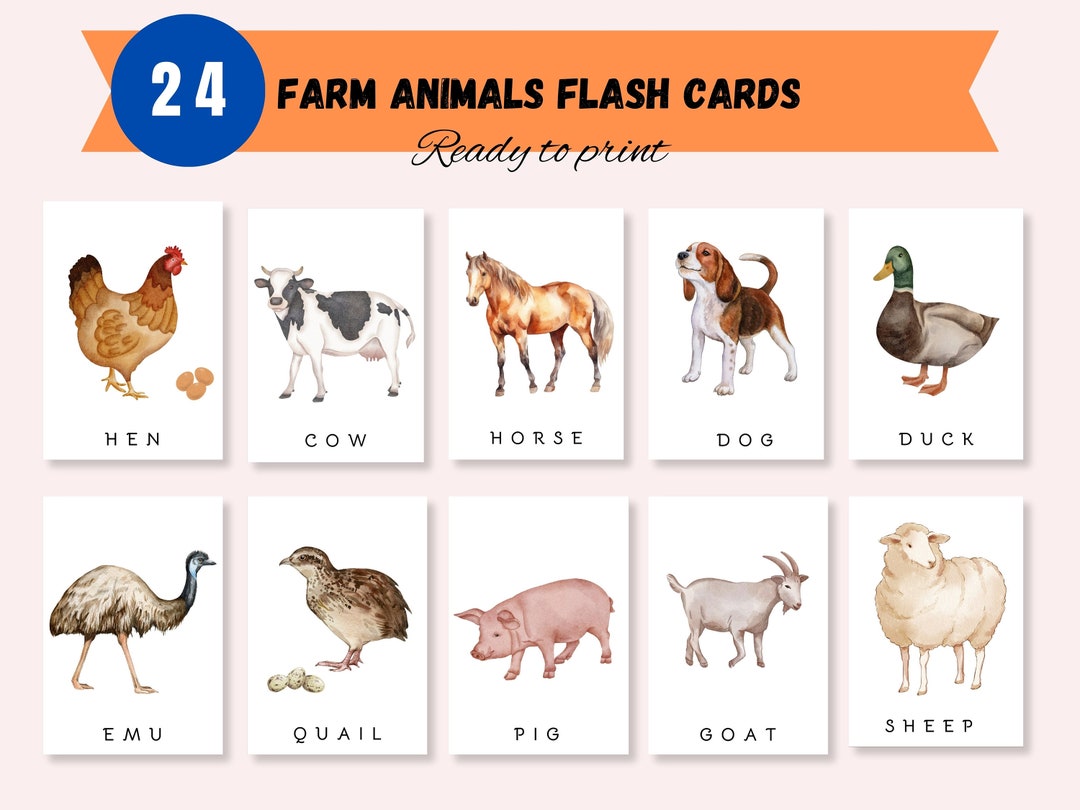 24 Farm Animals Cards, Montessori Flash Cards, Pre-school Cards ...