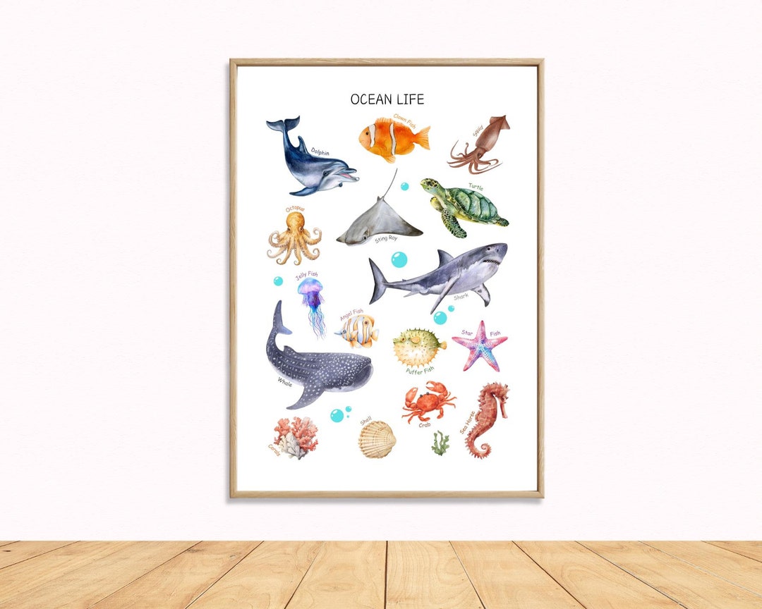 Ocean Life, Marine Animals, Aquatic Animals, Educational Poster ...
