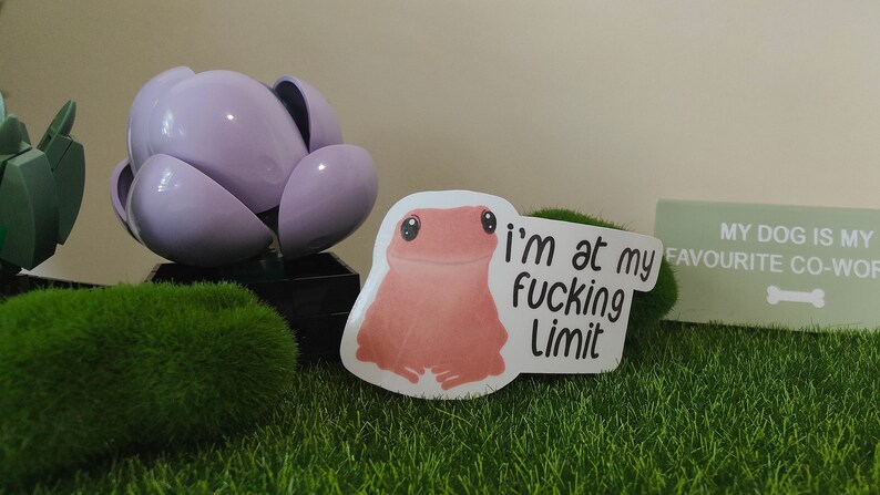 Frog Stickers Mental Health Stickers Mentally Ill Frogs Memes Funny ...