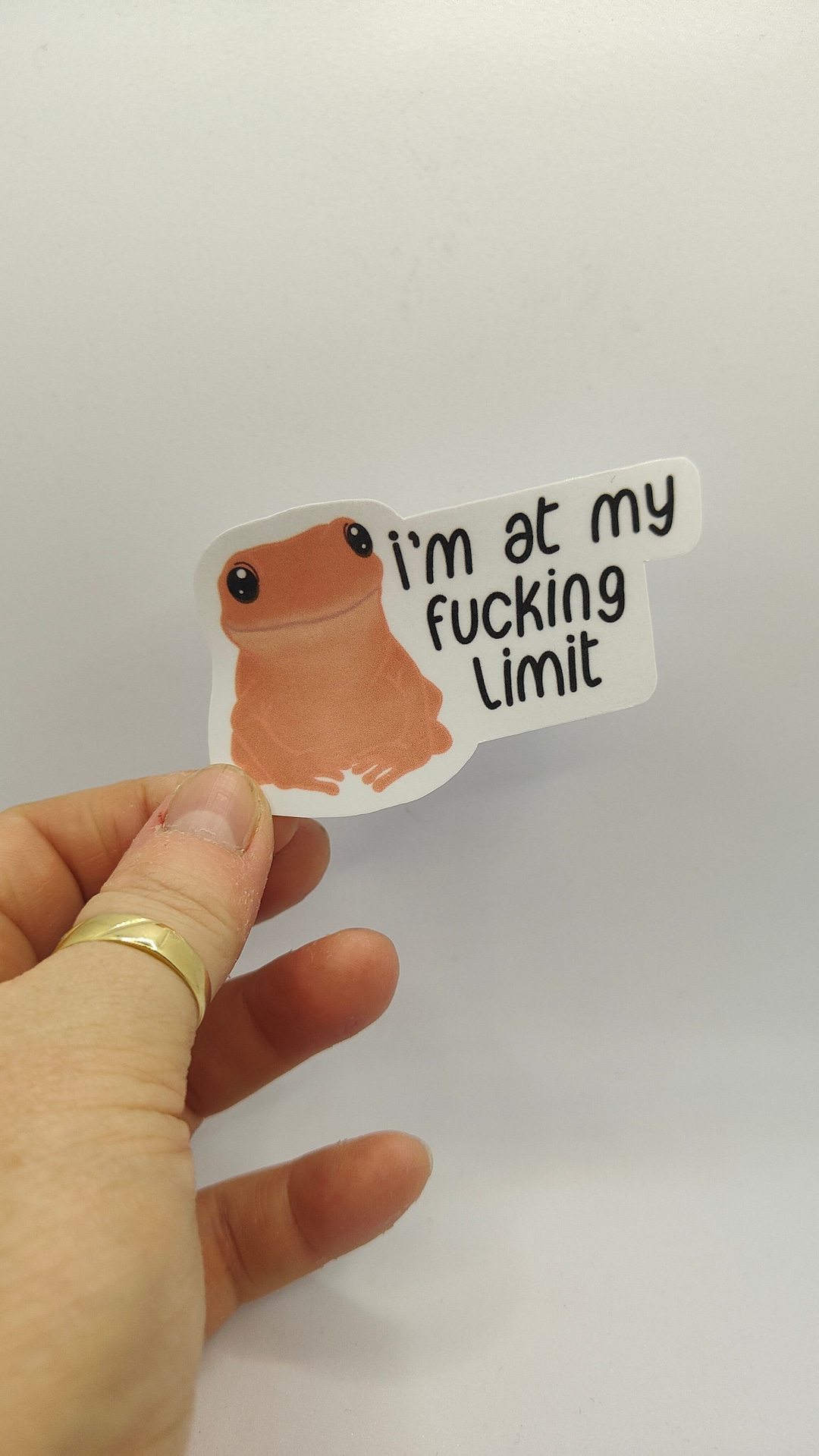 Frog Stickers Mental Health Stickers Mentally Ill Frogs Memes Funny ...