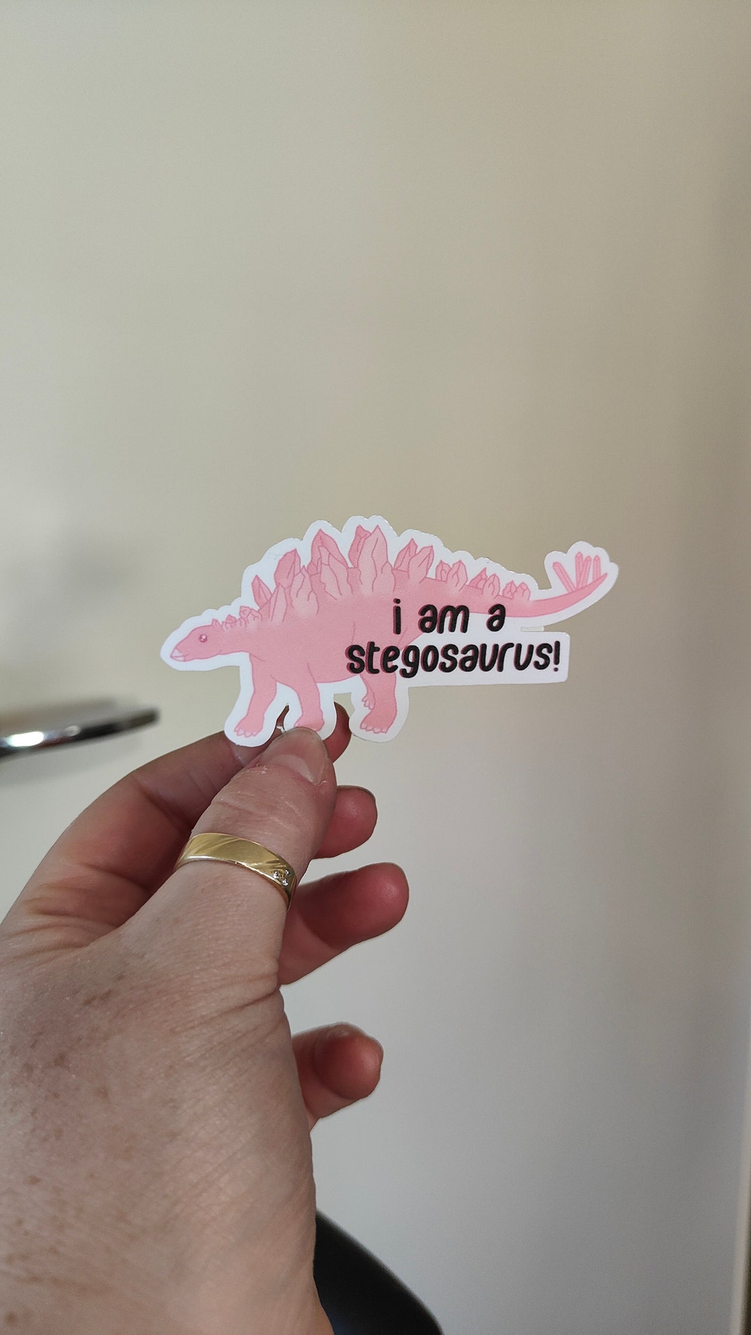 Stegosaurus Dinosaur Stickers Gifts for Dinosaur Lovers Pretty Dino ...