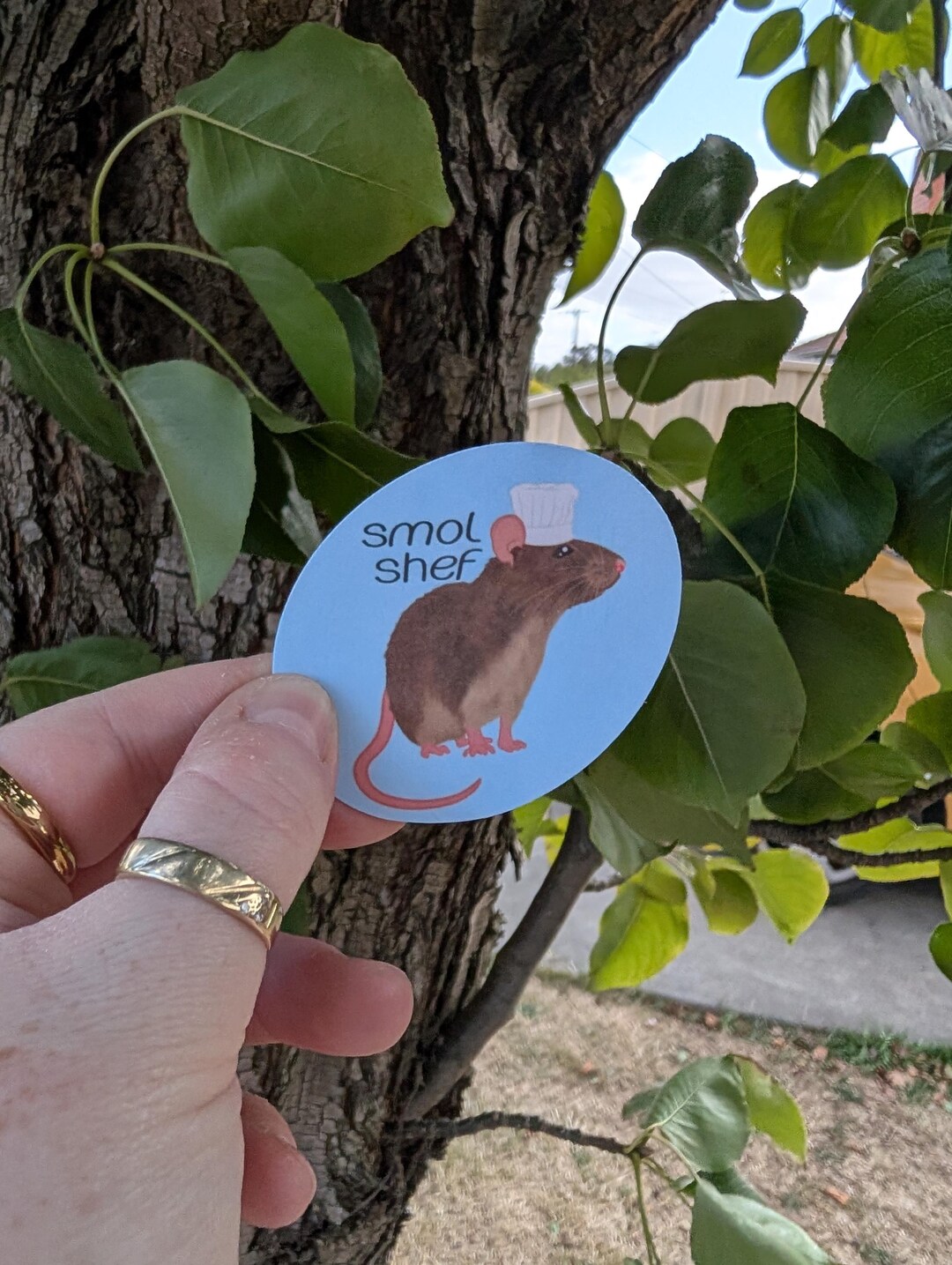 Rat Stickers Rat Lovers Smol Shef Chef Sticker Pet Rats Laptop Stickers ...