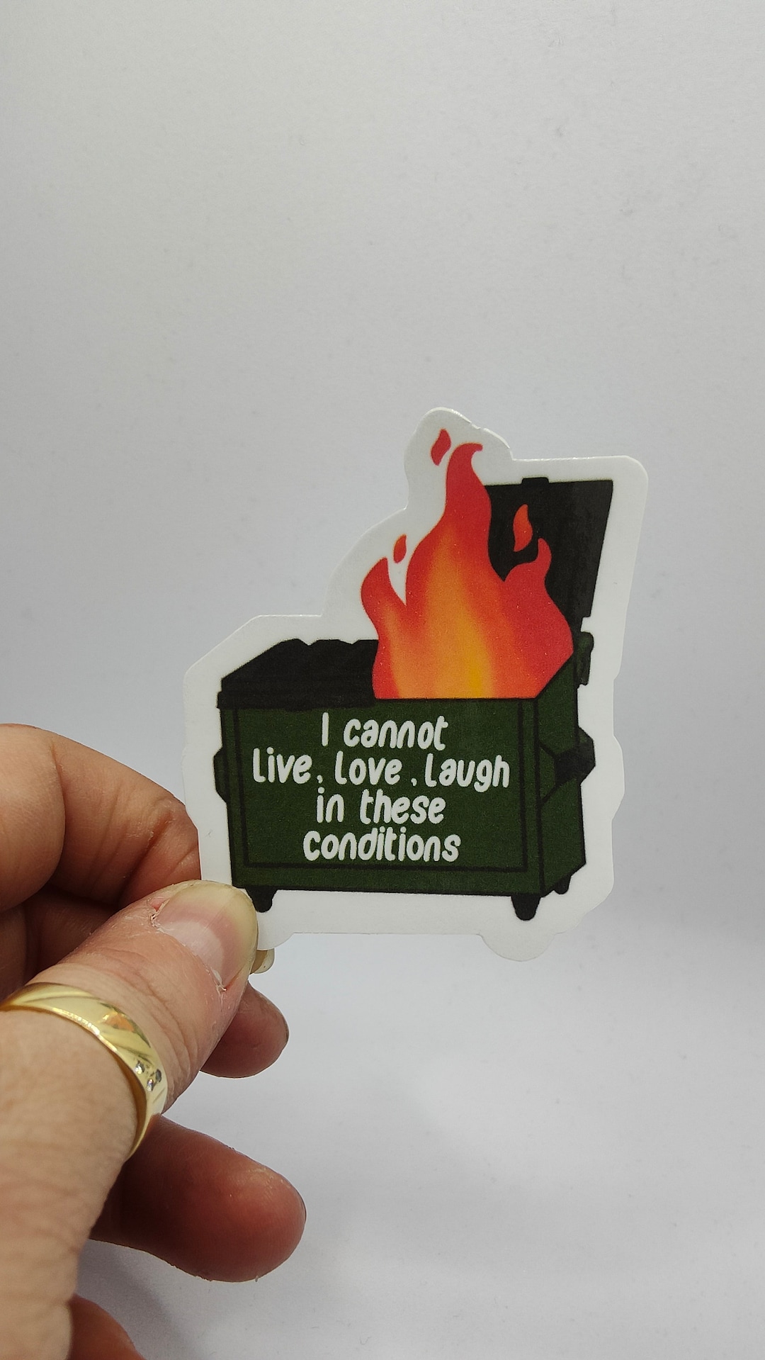 Dark Humour Stickers Dumpster Fire Sticker Bin on Fire Funny Stickers ...