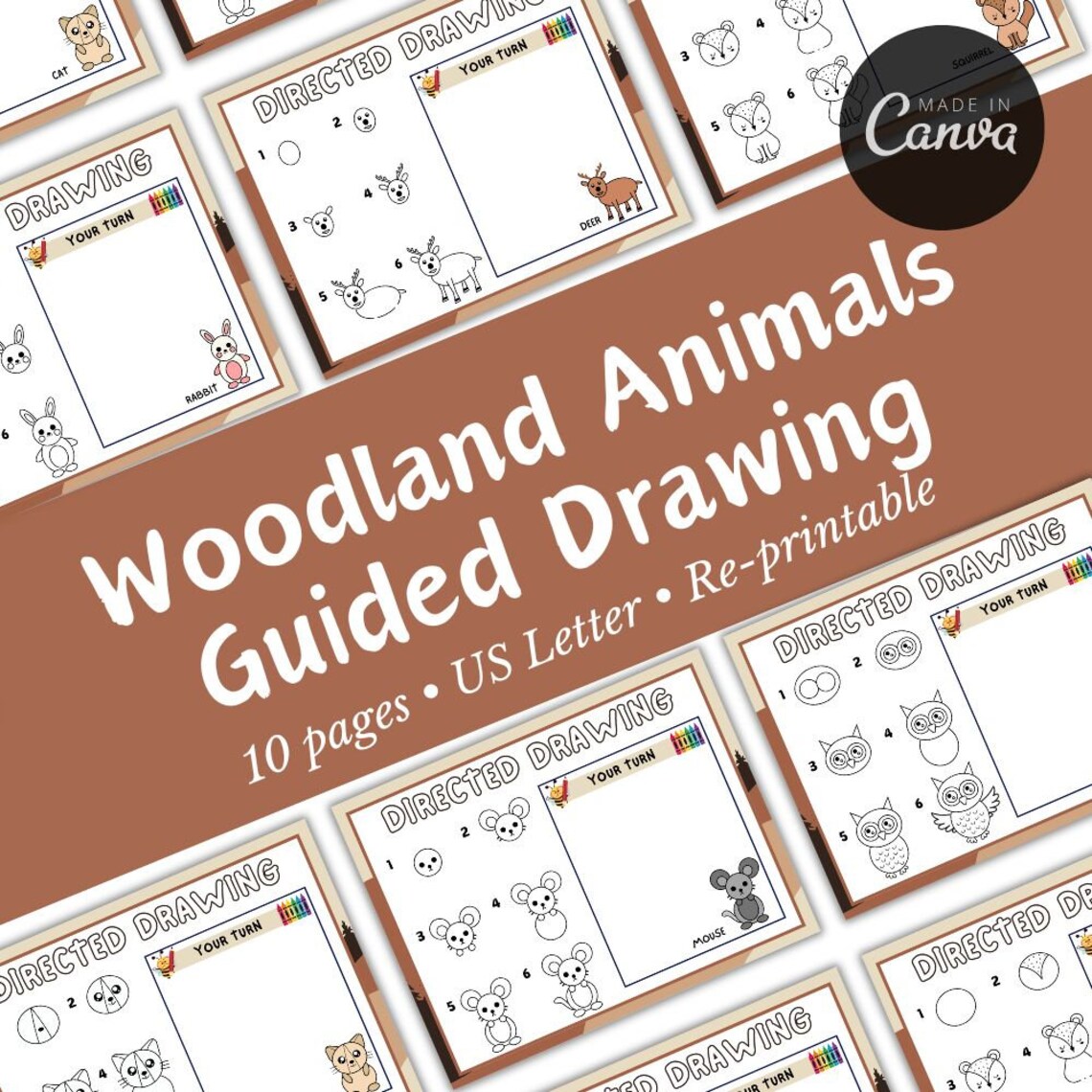Woodland Animals Directed Drawing | Summer Learning Activities ...