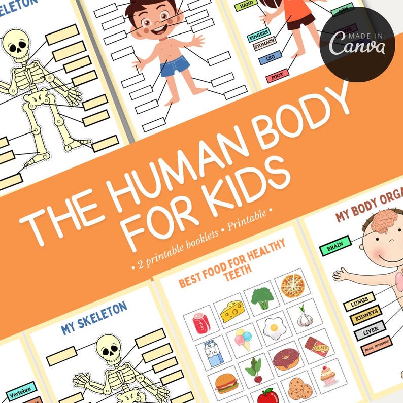 Human Body Busy Book | Anatomy Worksheets for Kids | Anatomy Learning ...