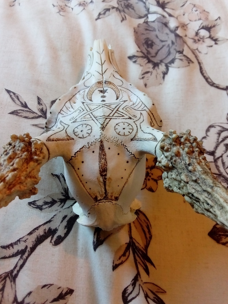 Pyrography Deer Skull - Etsy