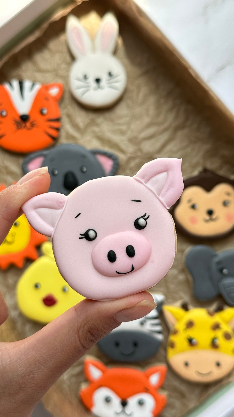 Animals Sugar Mini Cookies Handmade Party Set Cute Organic Natural Zoo ...