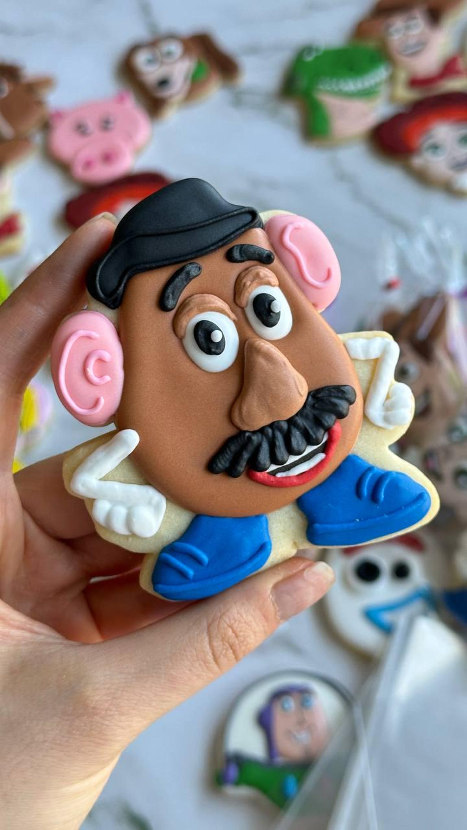 Toy Story Cookie Characters Organic Royal Icing Cartoon for Kids Set of ...