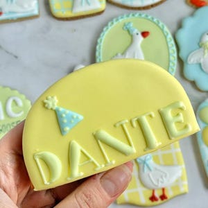 One Silly Goose Baby Shower Birthday Cookies Vibrant Summer Handmade ...