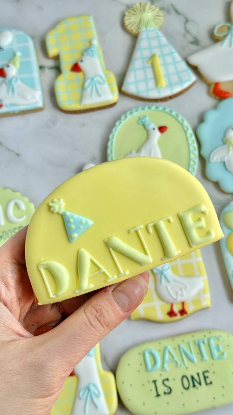 One Silly Goose Baby Shower Birthday Cookies Vibrant Summer Handmade ...