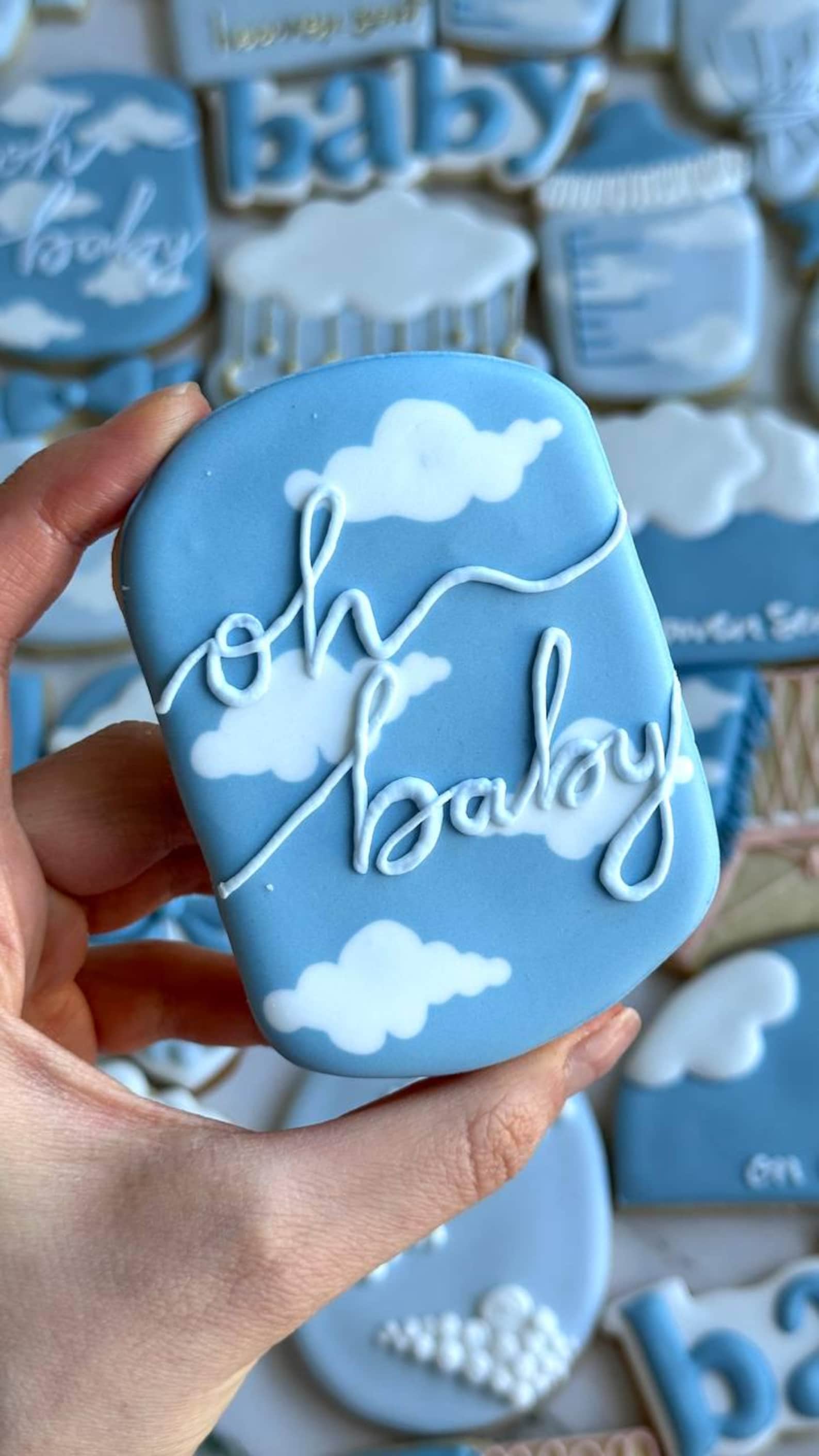 Cloud9 Baby Shower Cookies Handmade Organic Natural Blue Rose Shower ...