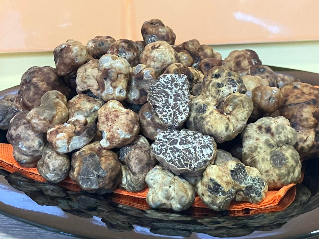 White Spring Truffles Tuber Borchii, Bianchetto - Etsy