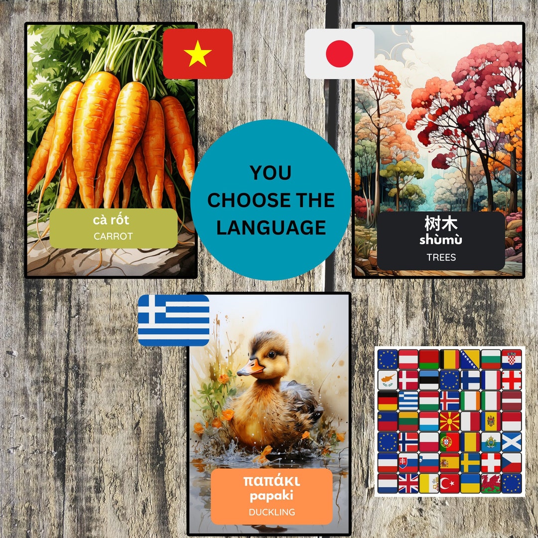 Printable Flashcards in ANY Language, 10 Topics to Choose From ...