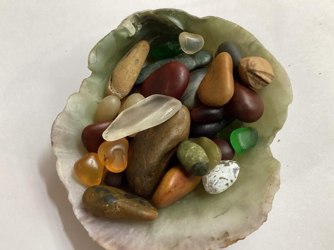 Oyster, Shell, Collection, Mermaid, Beach, Sea, Deco, Gift, Ocean ...