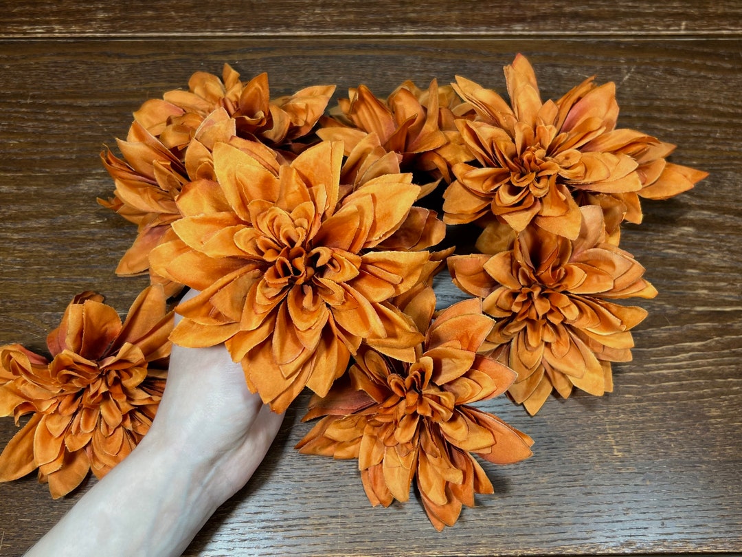 Rust Orange Dahlia Flower Head Terracotta High Quality Wedding Dahlia ...