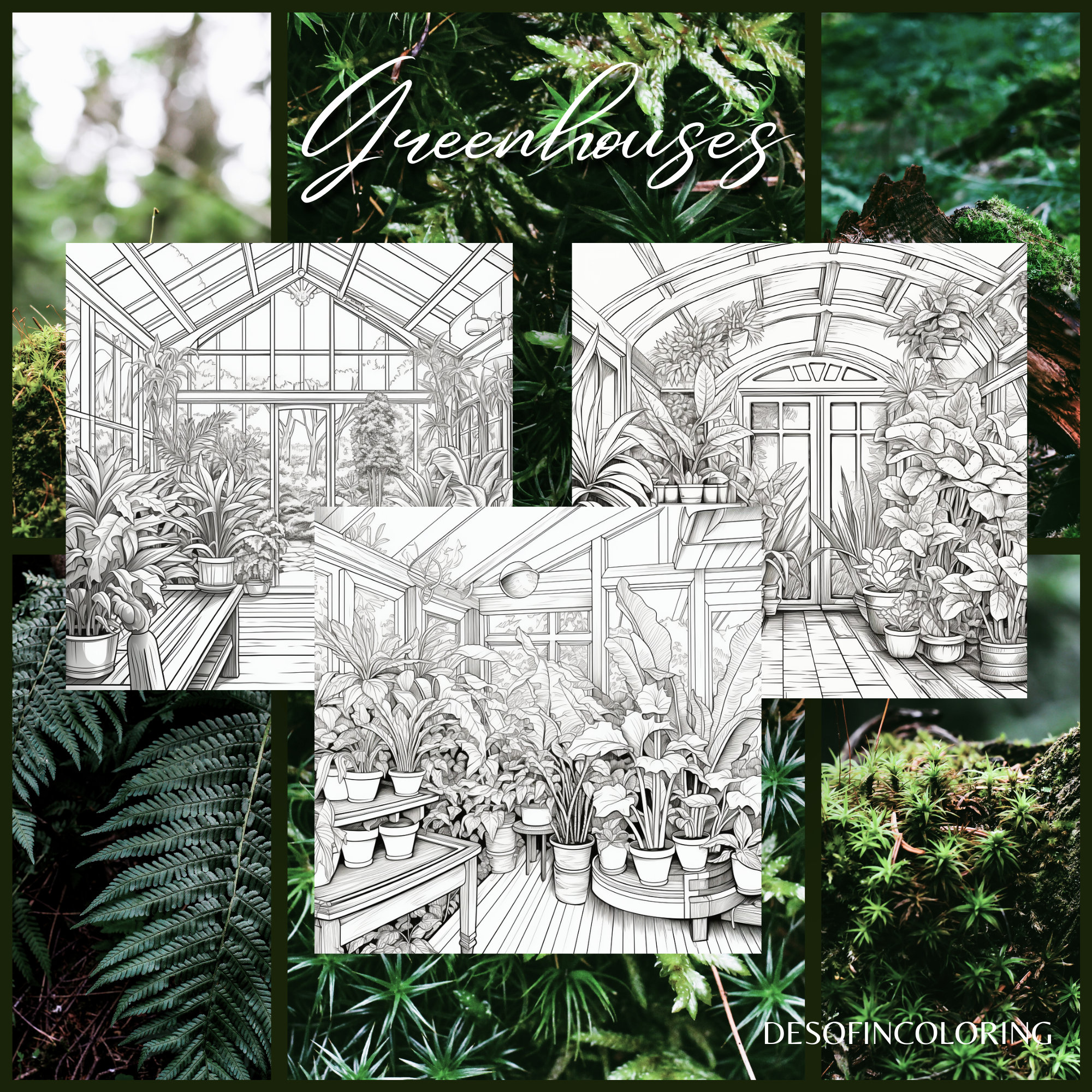 Printable Greenhouse Coloring Pages for Adults Sheets - Etsy