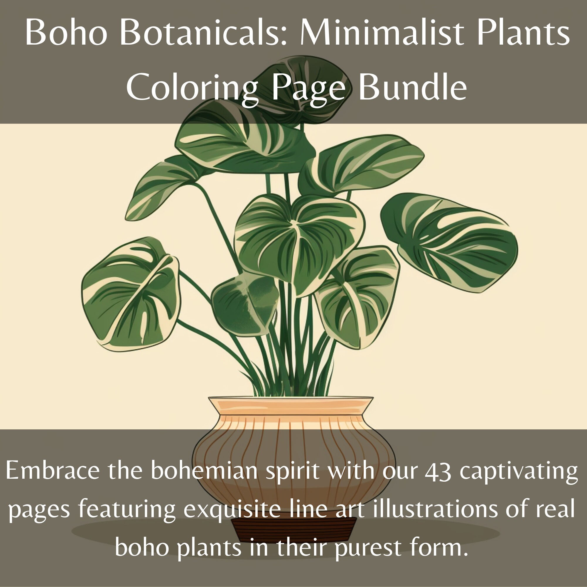 Minimalist Bohemian Plants Adult Coloring Pages, Digital Download ...
