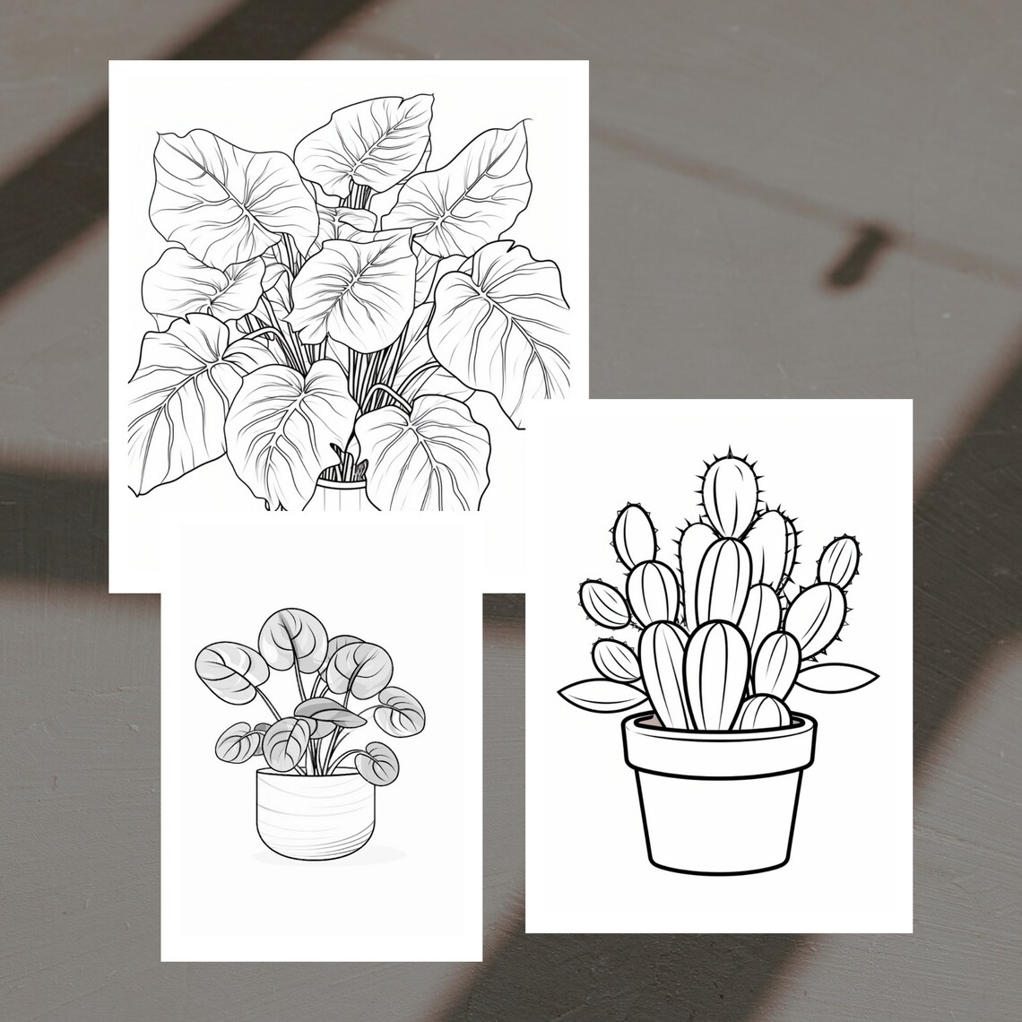 Minimalist Bohemian Plants Adult Coloring Pages, Digital Download ...