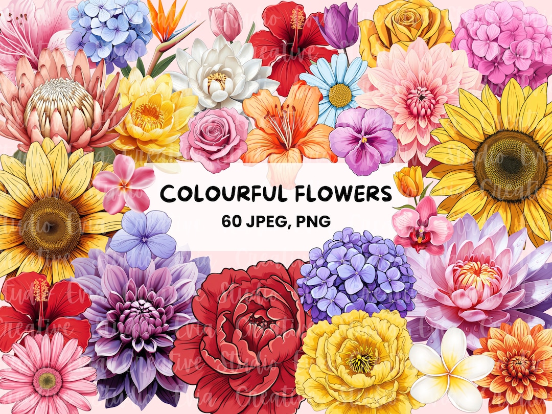 Colourful Flowers Clipart | 60 Floral PNG | Blooming Flowers ...