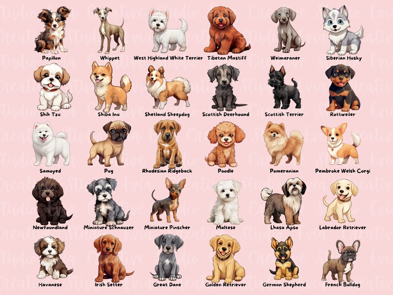 Cute Dogs Clipart | 60 Dog Graphic Designs | Pet Dog | Dog Breeds PNG ...