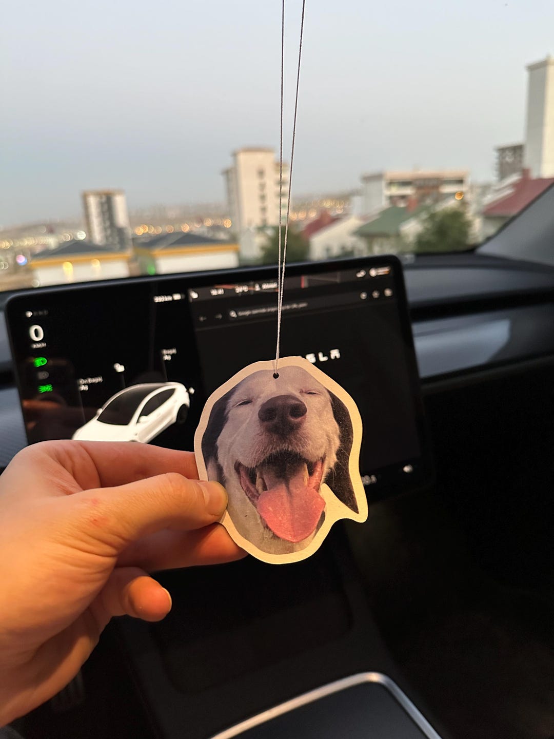 Personalized Photo Car Air Freshener 3-pack: Custom Shapes & Scents - Etsy