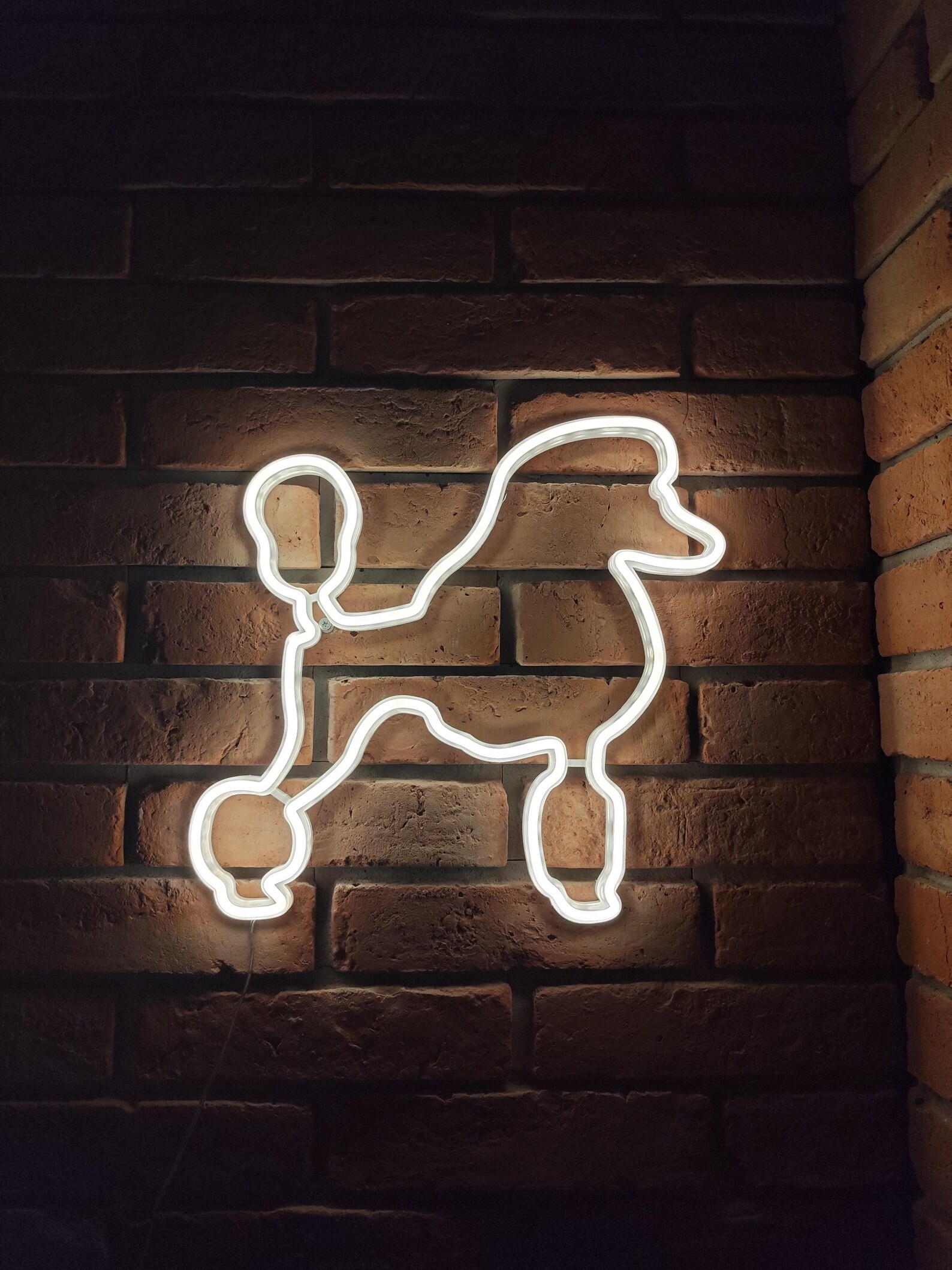 Poodle LED Neon Sign, Custom Dog Pet Wall Art Decor, RGB 11 Colors ...