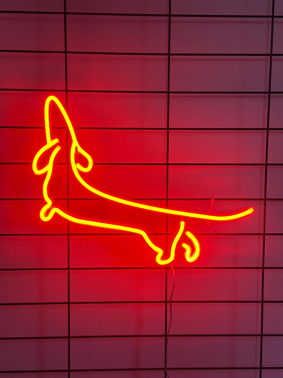 Customized Neon Sign With Dog - Dachshund Wall Decor - Personalized LED ...
