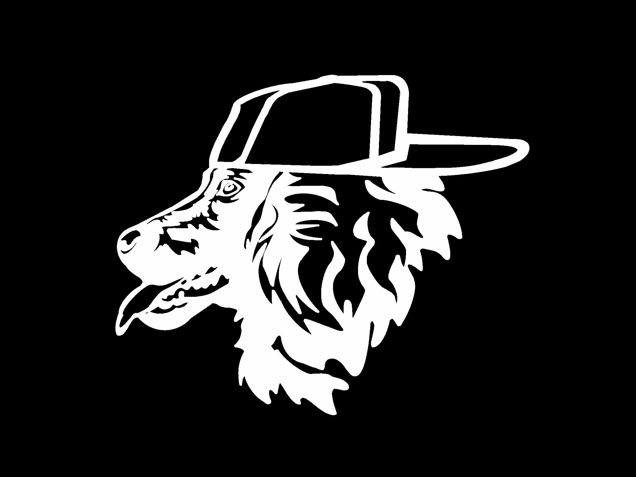 Boykin Png/ Boykin Hat Png/ Dog With Hat Png/ Dog Png/ Boyking Spaniel ...